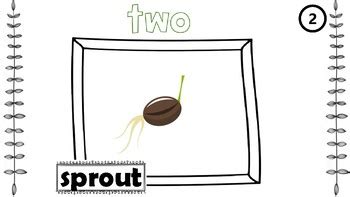 Plant Life Cycle PowerPoint Slides Introduction By Perks Of Primary