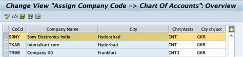 Chart Of Accounts In SAP