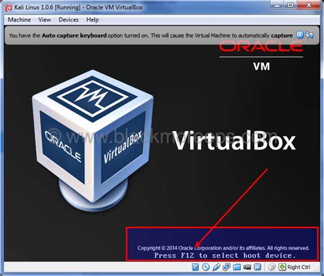 Kali Linux Iso Virtualbox Install Osesight