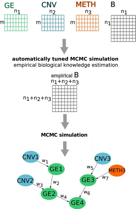 Intomics Framework Intomics Framework Takes As Input I Gene
