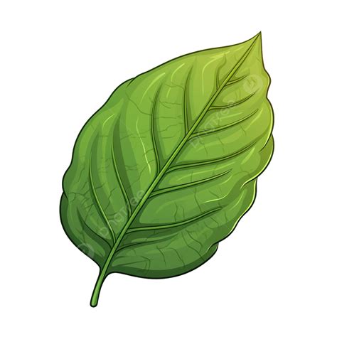 葉幼稚的卡通物體 叶子 卡通片 儿童插画png去背圖片素材免費下載，免摳圖設計圖案下載 Pngtree