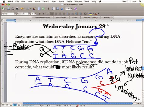 EC Honors Biology DNA Replication Activity