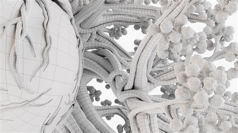 3d Animated Heart With Sound Turbosquid 2080454