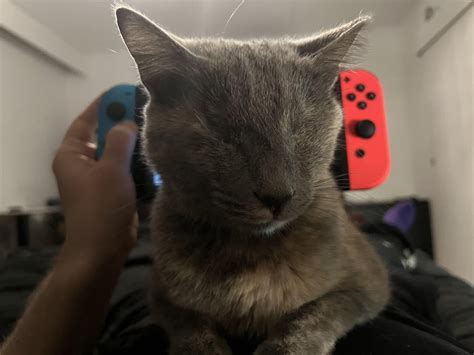 She Cant See The Game So She Wont Let Me Either… R Piratekitties