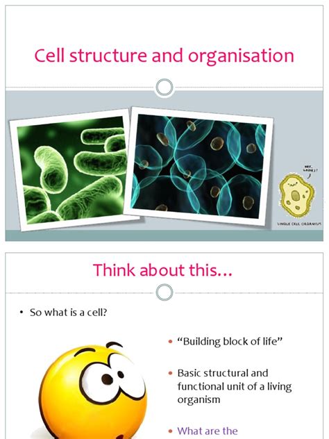 Cell Structure And Organisation Pdf Tissue Biology Endoplasmic