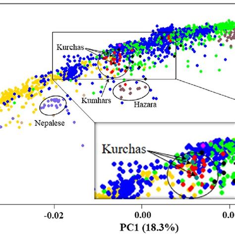 Principal Component Analysis PCA Of South Asians PCA Plot Showing Download Scientific