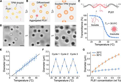 Biomimetic Thermoresponsive Superstructures By Colloidal Soft And Hard Co Assembly Science