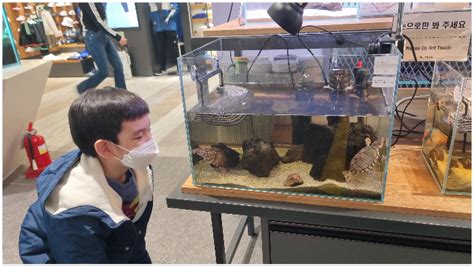 kjun kr kjcoder tistory 물고기카페