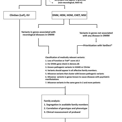 Detection And Classification Of Clinically Relevant Variants We Download Scientific Diagram