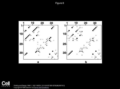 Universality And Diversity Of The Protein Folding Scenarios A Comprehensive Analysis With The