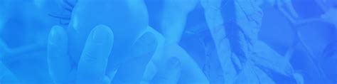 Datto Saas Protection Datto
