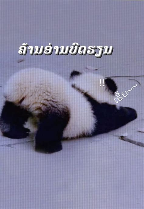 ມີມ ໂຮງຮຽນ ແຊບໆພີ່ນ້ອງ