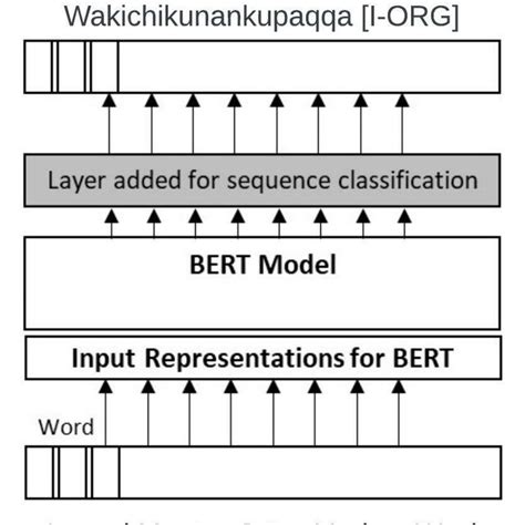 Model Architecture Based On Bert Devlin Et Al 2019 Download Scientific Diagram