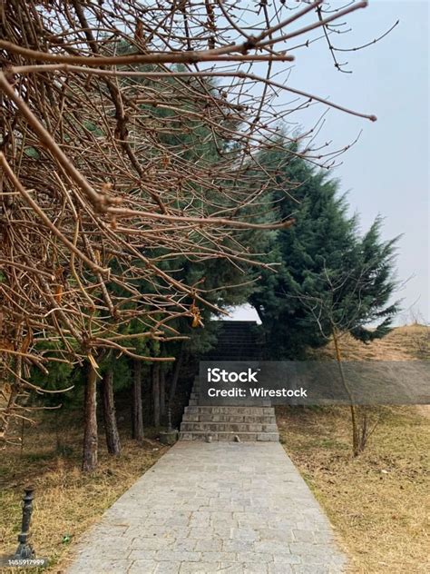 언덕 꼭대기로 이어지는 나무가 있는 돌계단의 아름다운 수직 0명에 대한 스톡 사진 및 기타 이미지 0명 경관 계곡 Istock