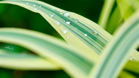 夏天 拍拍照 富士胶片影赛 Fujifilm