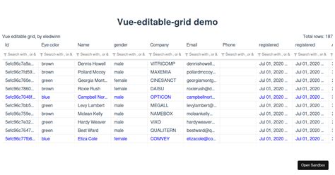 Demo Vue Editable Grid Forked Codesandbox