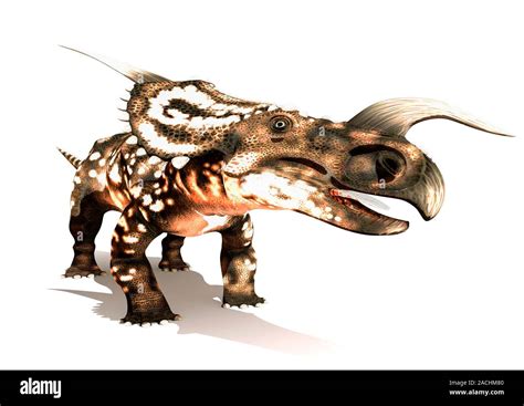 Einiosaurus Dinosaur Computer Artwork This Horned Herbivorous