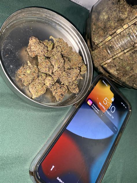 Milk Tea 🧋 Zerbert X Horchata Rweedporn Milk Tea 🧋 Zerbert X Horchata Rweedporn