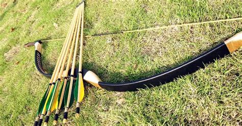 Types Of Bows For Survival