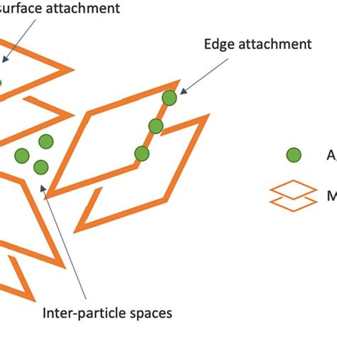 Schematic Illustration Of Agrochemicals Attachmentintercalation Into