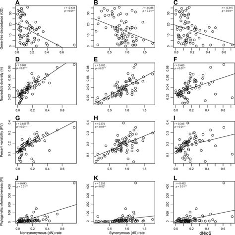 Correlation Of Evolutionary Rate Heterogeneity Including Nonsynonymous