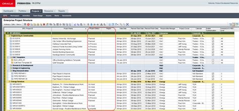 Learn How To Use Project Codes In Primavera P6 Eppm