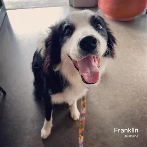 Alex Mcroy On Linkedin Fridayfunnies