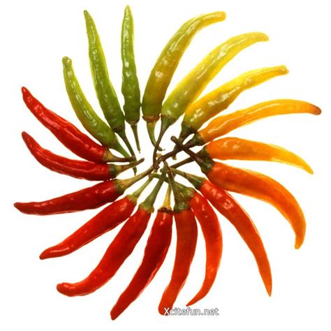 Health Benefits And Uses Of Chili Pepper