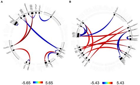 Frontiers Comparison Of Local Activation Functional Connectivity And Structural Connectivity