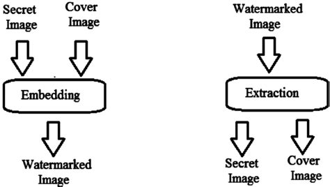Watermarking Embedding And Extraction Process Download Scientific