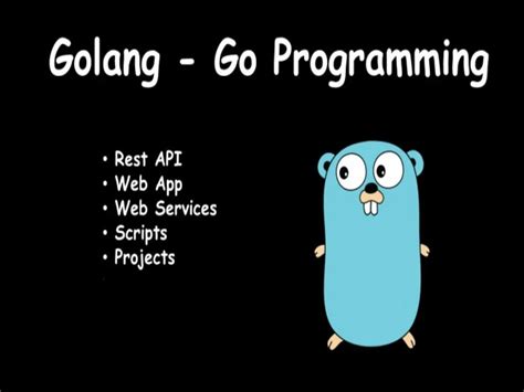 A Golang Web App Apis Backend Server Upwork