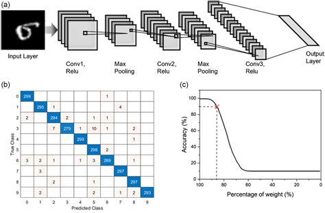 Adaptive Convolutional Neural Networks For Enhanced Memory Retention
