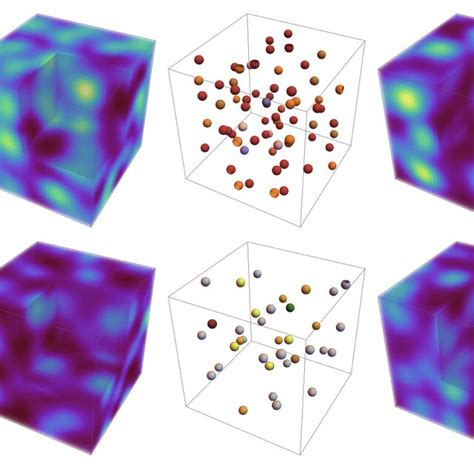 species reconstruction and latent space interpolation a for five