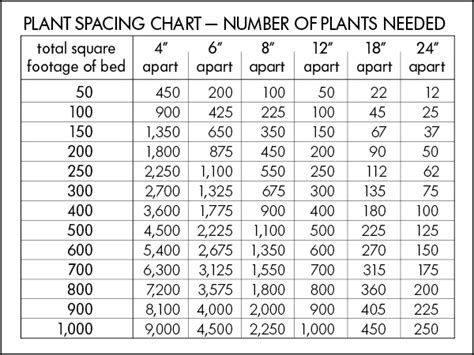 Nursery Tree Planting Spacing Chart