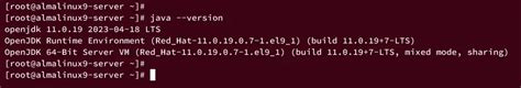 How To Install Java Openjdkoraclejdk On Almalinux 9