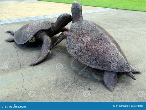 A Sculpture Depicting Turtles At The Start Of Mating Along A River Walk By Aborigin Editorial