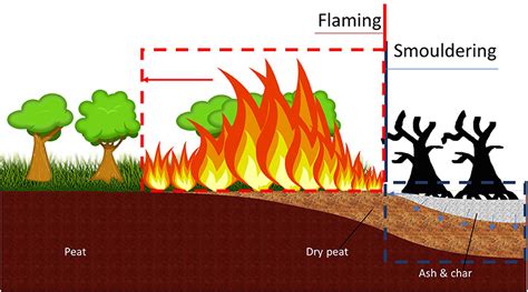 Frontiers Review Of The Transition From Smouldering To Flaming Combustion In Wildfires