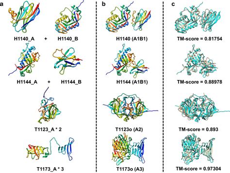 Enhancing Alphafold Multimer Based Protein Complex Structure Prediction