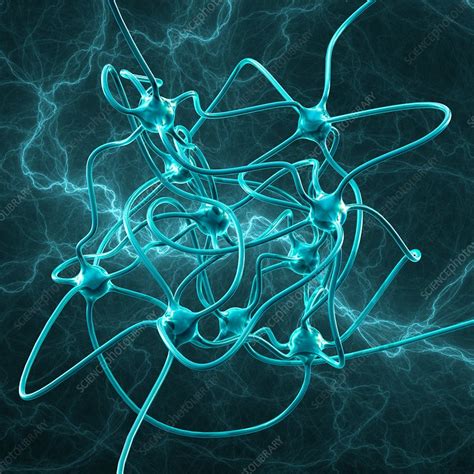 Neural Network Conceptual Image Stock Image C0357853 Science Photo Library