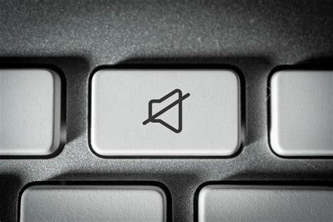 How To Mute A Bot On Discord ITGeared How To Mute A Bot On Discord ITGeared