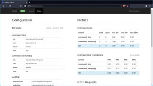 Tunneling In Linux With Ngrok LinuxForDevices
