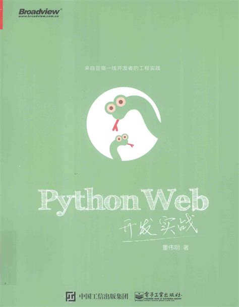 《python Web开发实战》董伟明 著 Pyhton 电子书学习和下载