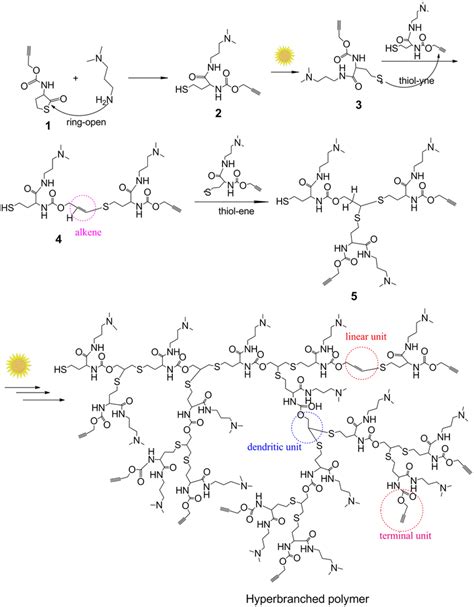 Schematic Illustration Of Growing A Hyperbranched Polymer Via