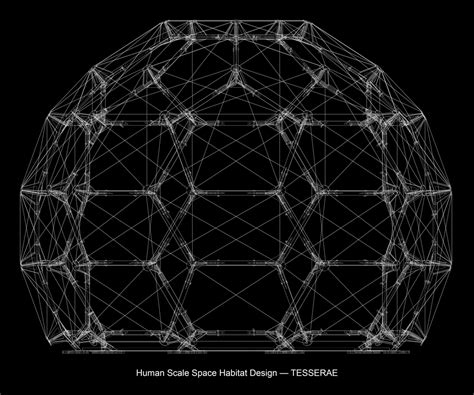 gallery of architecture for inhabiting space tessellated