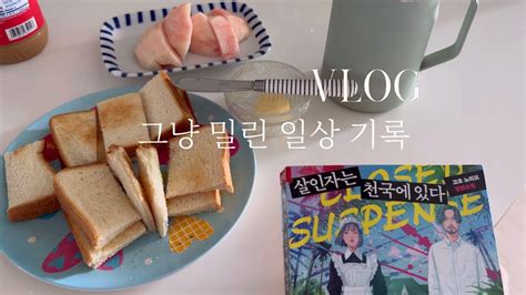 Vlog 밀린일상기록 Youtube