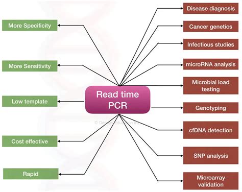 Real Time PCR Principle Procedure Advantage Limitations And Applications