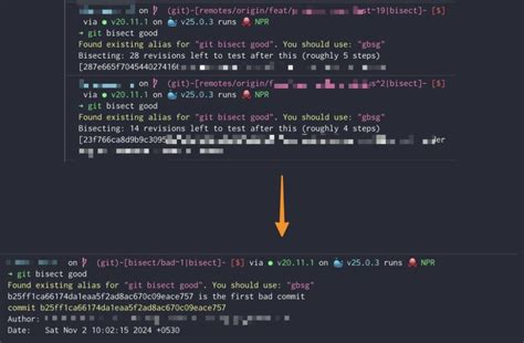 Tech Term Time ⚔️ → Git Bisect Have You Ever Noticed A Bug In Code And