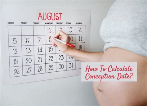 Conception Calculator Can I Find Out The Exact Day Of Conception
