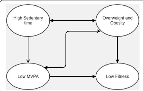 Proposed Bidirectional Relationship Between Sedentary Time Physical Download Scientific