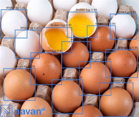 Build A Computer Vision Object Detection Ai Model By Navanai Fiverr